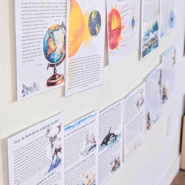 Birds Unit Study, Bird Anatomy, Bird Montessori 3 Part Cards, Owl Unit ...