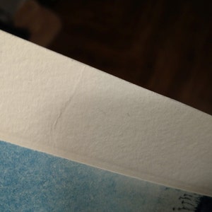 Set of 9 Original Cyanotype Prints - Etsy