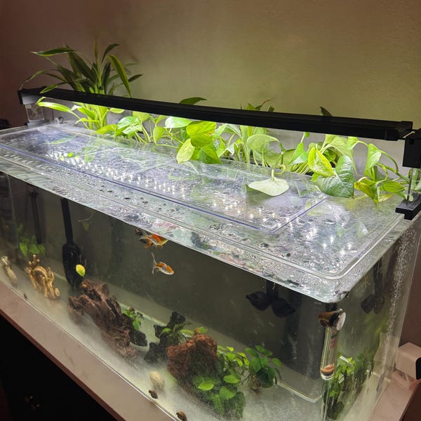 Nicrew Skyled Light Stand 2 Wide Base LED Riser, Fish Tank Light Lift ...