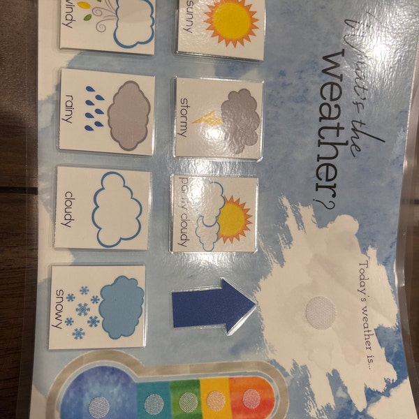 Weather Chart Custom Listing | Circle Time | What's the Weather ...