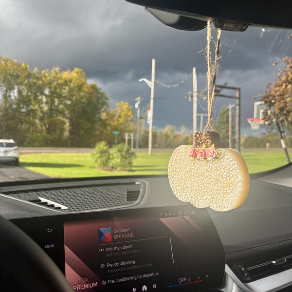 Chicken Freshie, Car Freshie, Freshy, Freshies, Freshener - Etsy