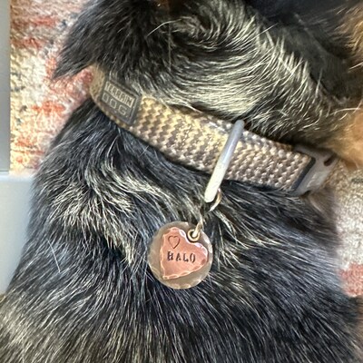 Rugged Stainless Steel Dog Tag Washer Pet ID Tag Custom - Etsy