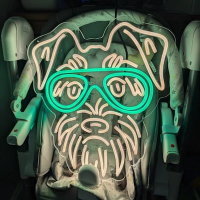 Record Player Neon Sign, Vinyl Neon Sign, Retro Vinyl Wall Mount, Music ...