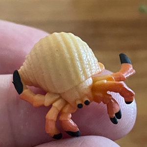 Set of Tiny MINIATURE Hermit Crab Sea Life Animal Figurine Mini Figure ...