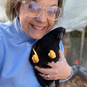 Middle Finger Muscle Arms for Chickens - Etsy
