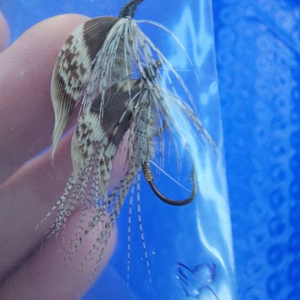 Bay Anchovy: Striper/bluefish Fly - Etsy