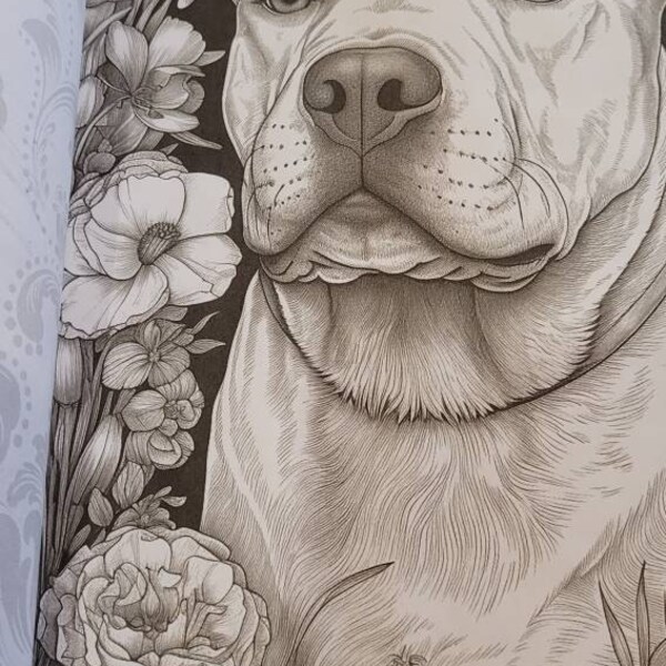 Cities of the World Coloring Book Adults 1 Landmarks Coloring Pages ...