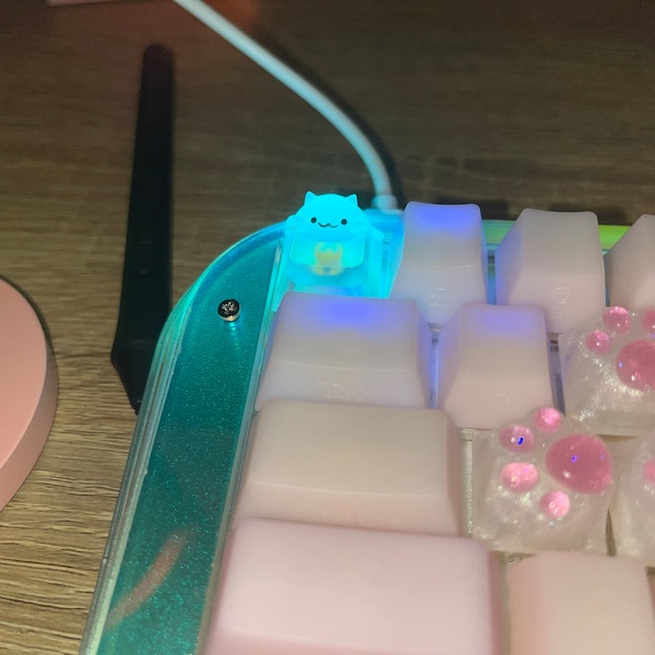 Catty Keycap (bongo Cat Meme Inspired) - Bongo Cat Keycap - Artisan ...