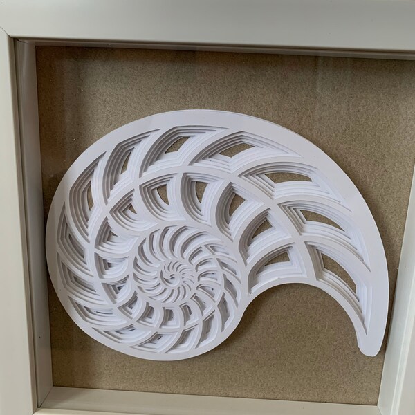Nautilus Svg, 3d, Cut File Nautilus, Cut Multilayer, 3D Geometric ...