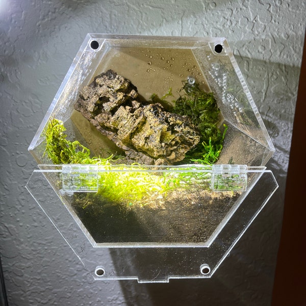 The Hive. Large Spider Cage, Bug Cage, Custom Enclosures, Hive Customs ...