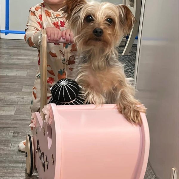 Safari Baby Walker With Animals, Push Truck, Wooden Wagon, White Truck ...