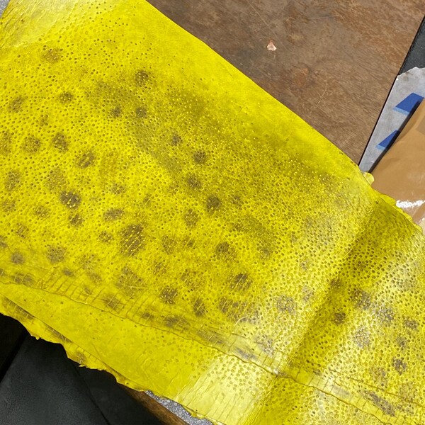 Jewelry Making, Salmon Fish Leather, Leathercraft Tapestry for Wallets ...