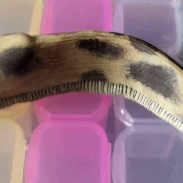 Happy Forest Goblin Figurine - Polymer Clay Sculpture - Goblincore ...