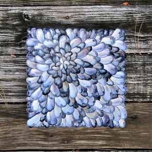 Razor Clam Shell Pairs Small Medium Large Cornish - Etsy