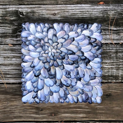 Razor Clam Shell Pairs Small Medium Large Cornish - Etsy