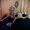 Sea Fairy Feejee Fiji Mermaid Sideshow Gaff Freak - Etsy