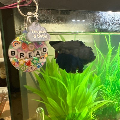 Custom Resin Pet ID Tags With Letter Beads Personalized Key - Etsy