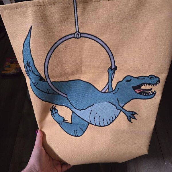 Pole Dance Bag for Dancer Gear Pole Dancing Bag for Aerialist Pole ...