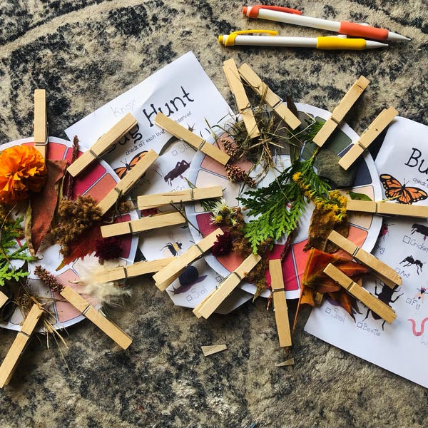 Nature COLOUR Wheel | Nature COLOR Wheel | Nature Play Printable ...