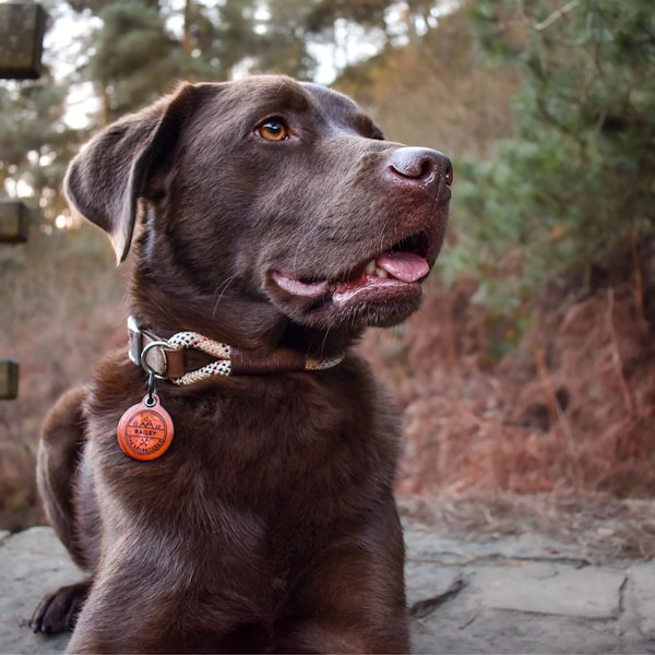 Adjustable Dog Rope Collar (made to Order) - Etsy