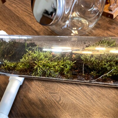 ABG Mix 1 Gallon - Etsy