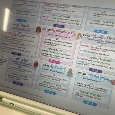 Nursing Concept Map & Study Templates - Etsy