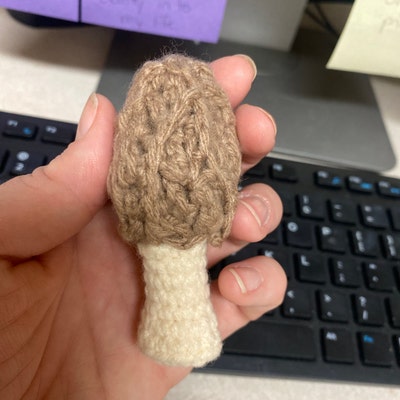 Morel Mushrooms Crochet Pattern PDF English - Etsy