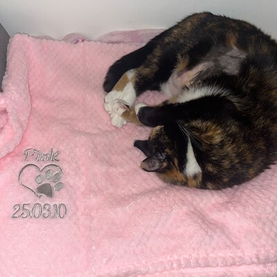 Personalised Elf Arrival Envelope or Elf Return: NORTH POLE Envelope ...