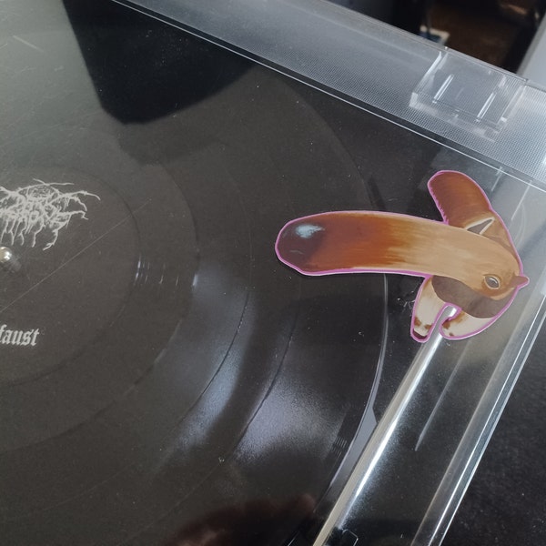 Anteater Sticker, Big Nose Edition! - Etsy