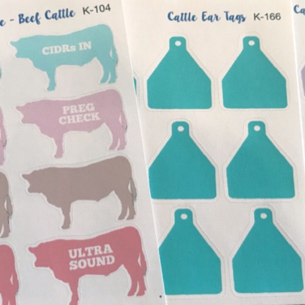 1st, 2nd and 3rd Place Ribbon Stickers - Etsy