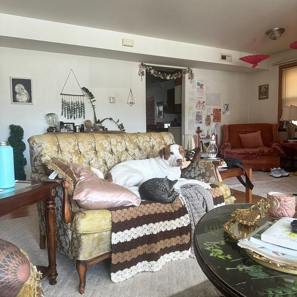 Tree of Life Oracle Cards Deck | USED - Etsy