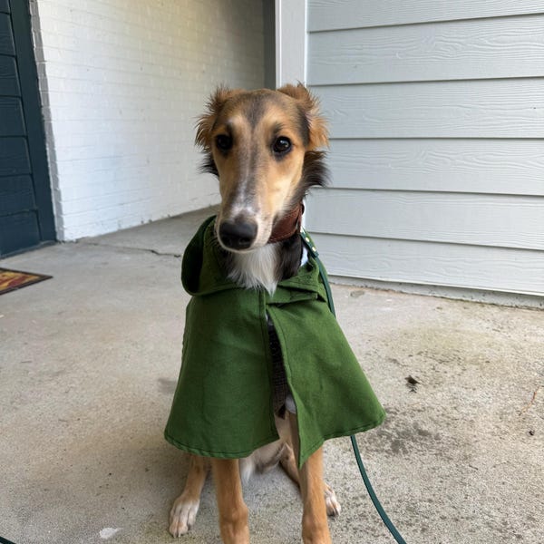 Cute Fleece Frog Cape - Etsy