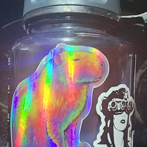 Psychedelic Rainbow Panther Chameleon Hippie Lizard Trippy - Etsy