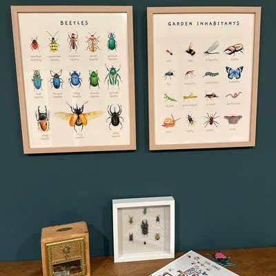 Food & Kitchen Educational Posters Set of 8 Printable Montessori ...