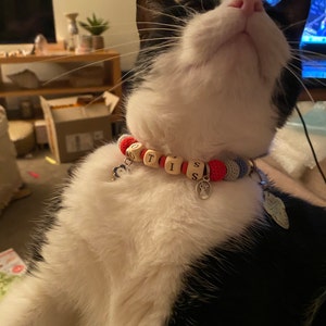 Angel Cat Collar/ Angel Wing Cat Costume''whitecolor - Etsy