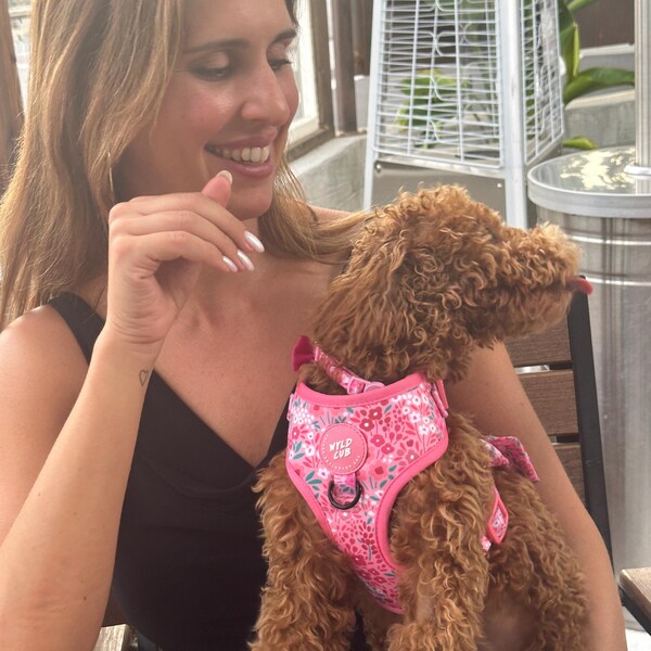 Adjustable Dog Harness for Extra Small Puppies to Large Dogs ...