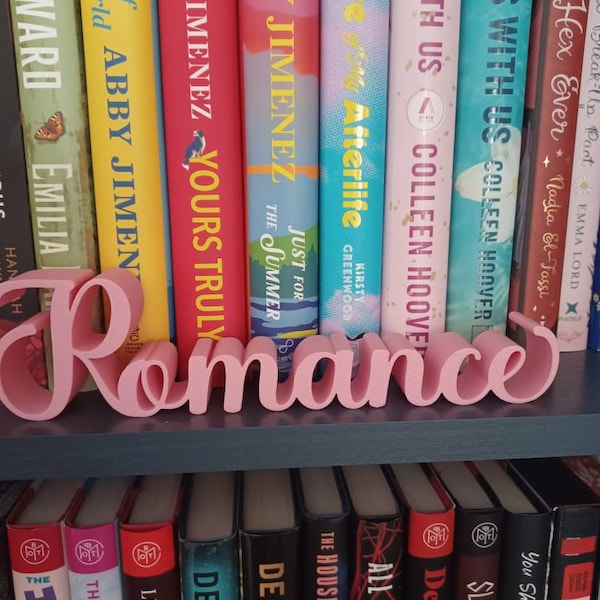 Romance Bookshelf Sign Library Book Lover Gift Custom Colors Book Club ...