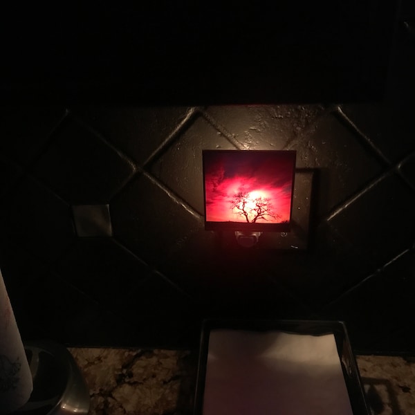 Aspen Grove Night Light From the Signature Photography Line of Steele ...