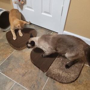 Cat Toys Made in USA Set of 3 Cardboard Cat Toys Round Balls for ...