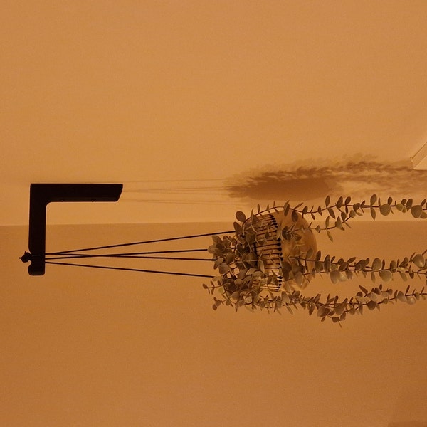 Indoor Plant Hook, Wall Mounted Wooden Plant Hanger - STEM Plant ...