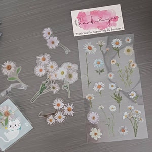 Large Vinyl Transparent Insect Stickers Die Cut Decal Set Waterproof ...