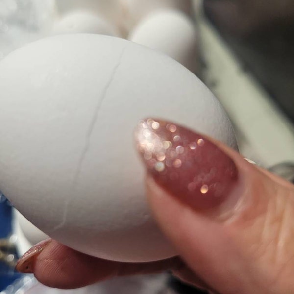 Clean Empty Chicken Egg Shells: Single Hole, Ready to Decorate - Etsy