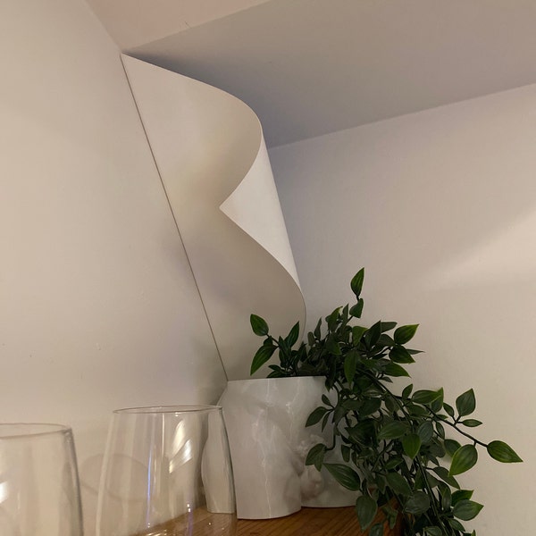 Male Pelvis Plant Pot - Extra Large - Etsy