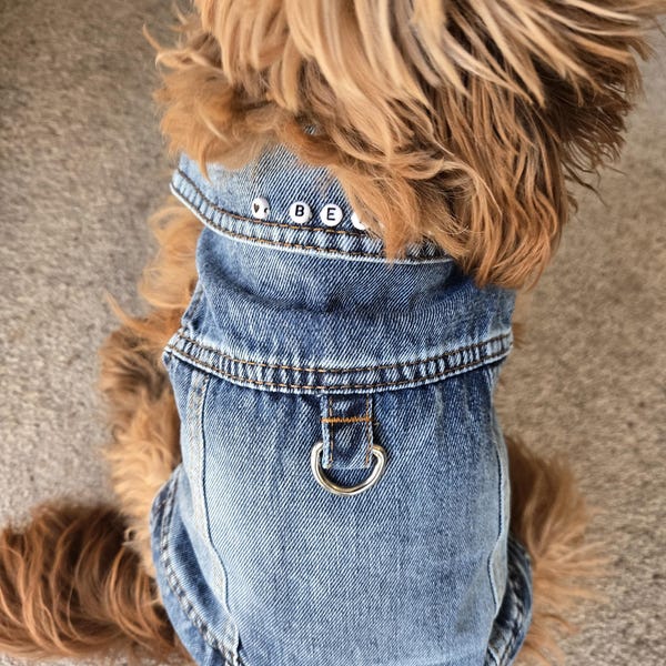 Denim Dog Jacket - Personalised Name Option Included! Sizes XXS / XS ...