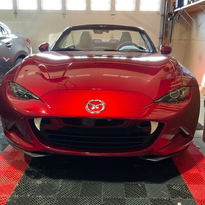 Universal Car Vampire Teeth / Bumper Fangs / Halloween Car - Etsy