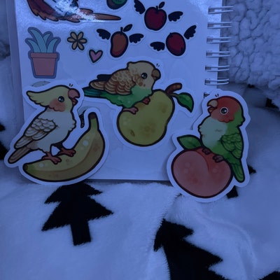 Fruit Salad Bird Sticker Set / Cockatiel Sticker / Bird Lover Water ...