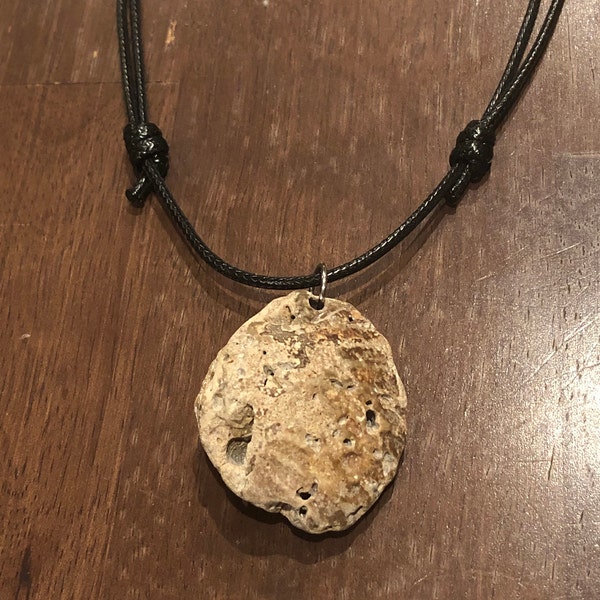 Coquina Shell Butterfly Necklace, Shell Necklace, Butterfly Necklace ...