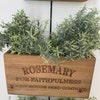 15 Artificial Fake Faux Rosemary Grass Plant/bush/stem/spray-kitchen ...