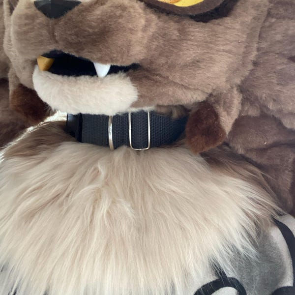 Pride Flags Fursuit Collar - Etsy