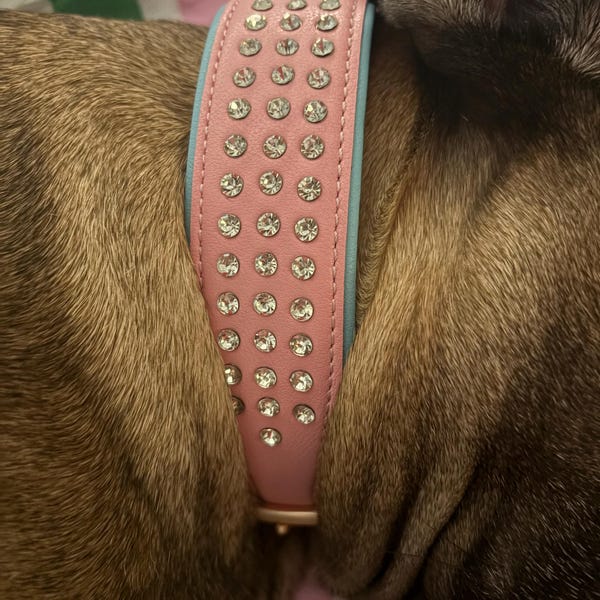 Personalized Lavender Corduroy Harness Collar Leash Bow Tie Bag Set ...